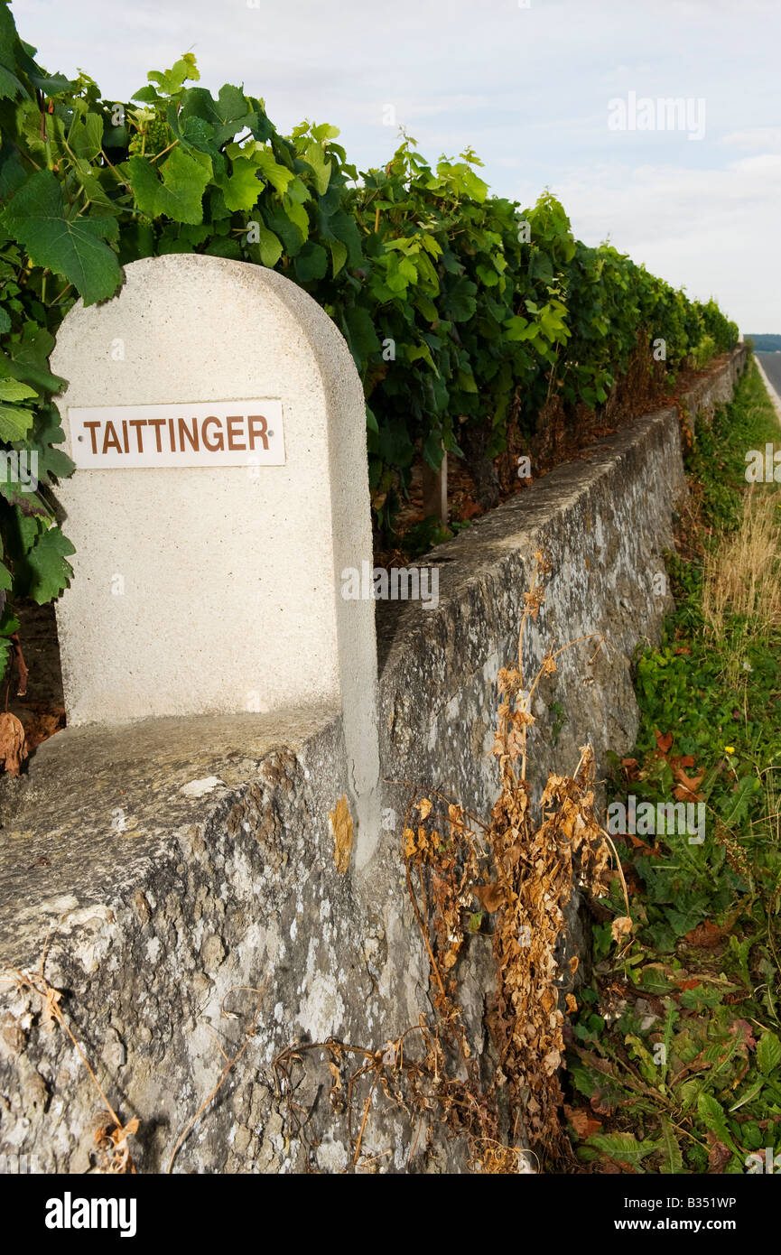 Mur de vignes en bordure de route mailly montagne de reims Banque de ...