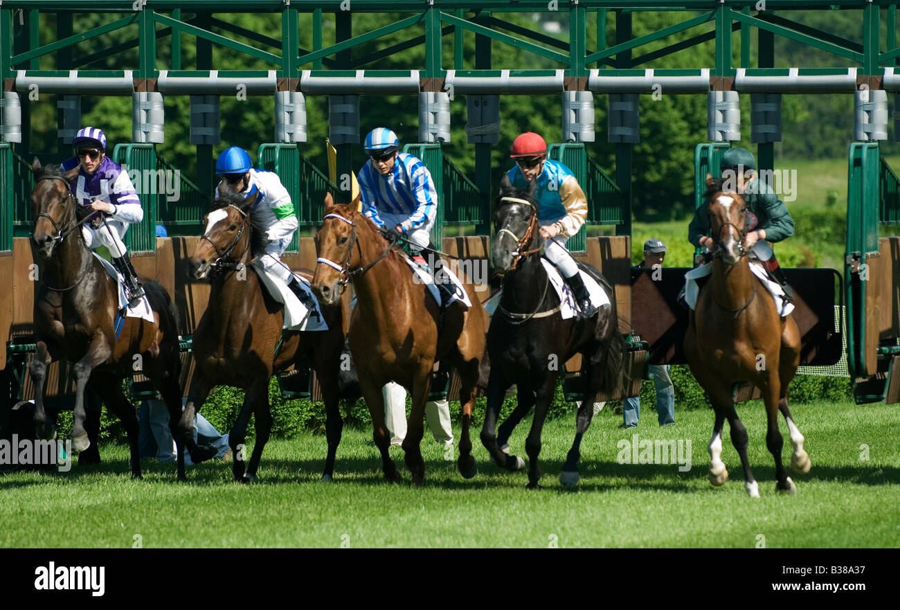 Chevaux de course de galop Banque de photographies et d’images à haute ...