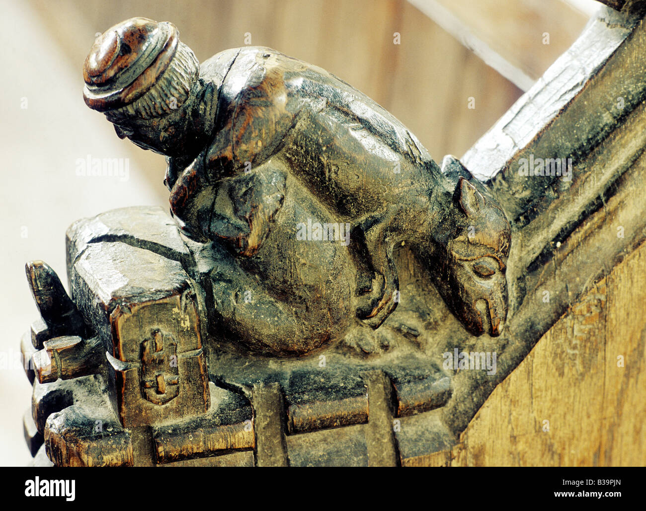 L'homme fin banc médiévale dans des actions avec l'ensemble du porc ...