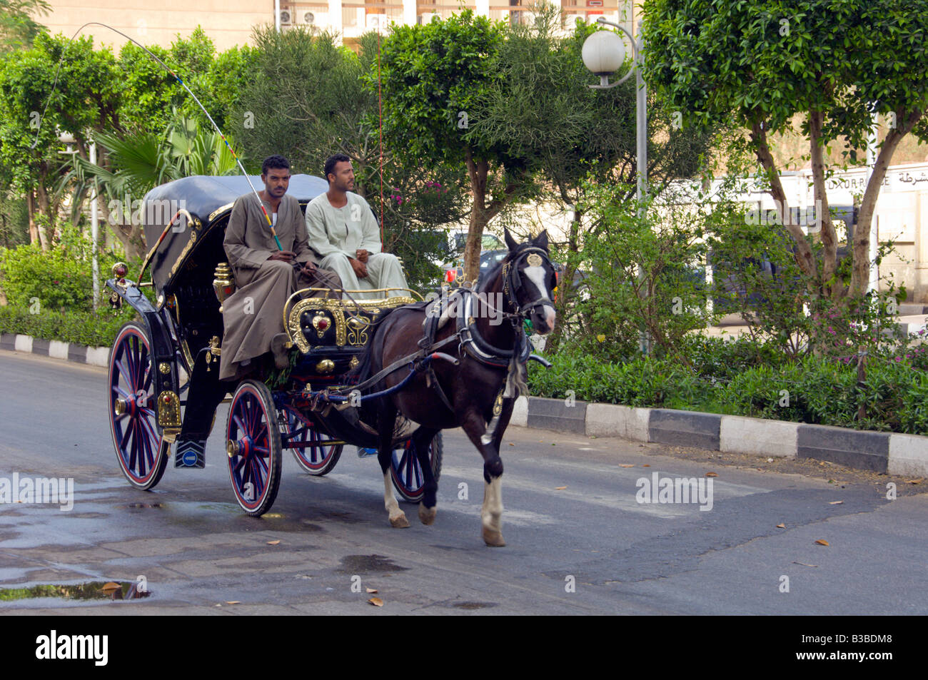 Caleche horse cart Banque de photographies et d’images à haute ...