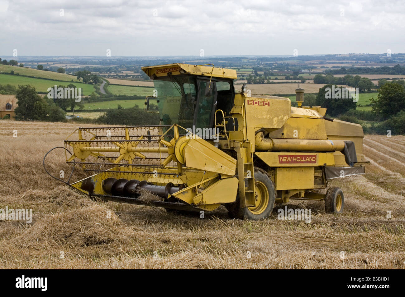Ancienne moissonneuse-batteuse New Holland 8060 combinant champ viol ...