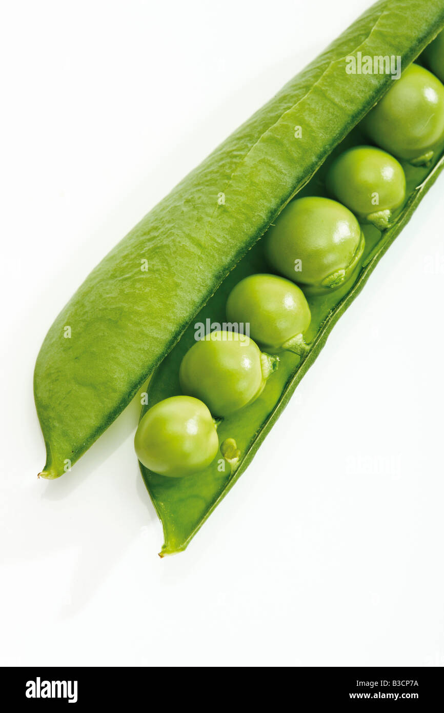 Pois en gousse Banque de photographies et d’images à haute résolution ...