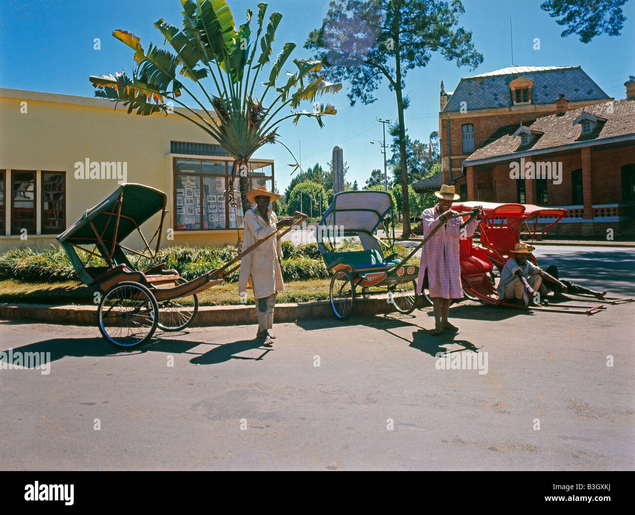Pous pous en africaine Banque de photographies et d’images à haute ...