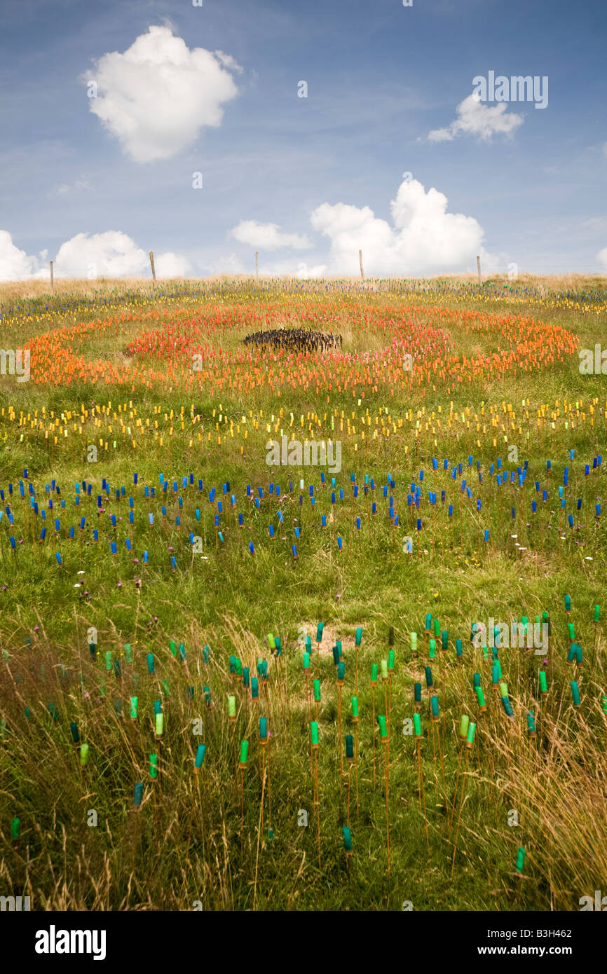 Une Laetitia Carlotti Land Art du travail. L'installation de Land Art ...