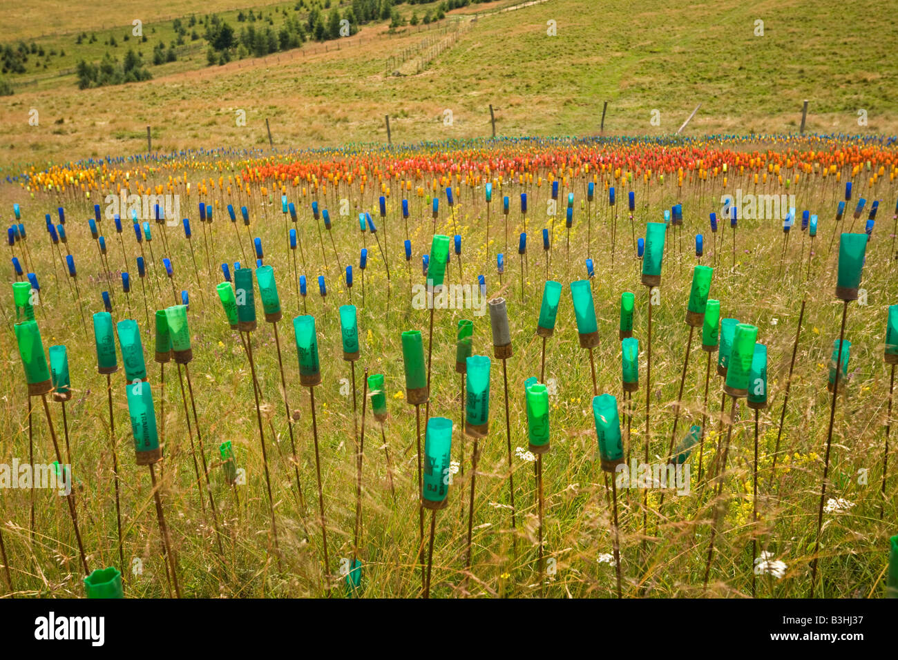 Une Laetitia Carlotti Land Art du travail. L'installation de Land Art ...
