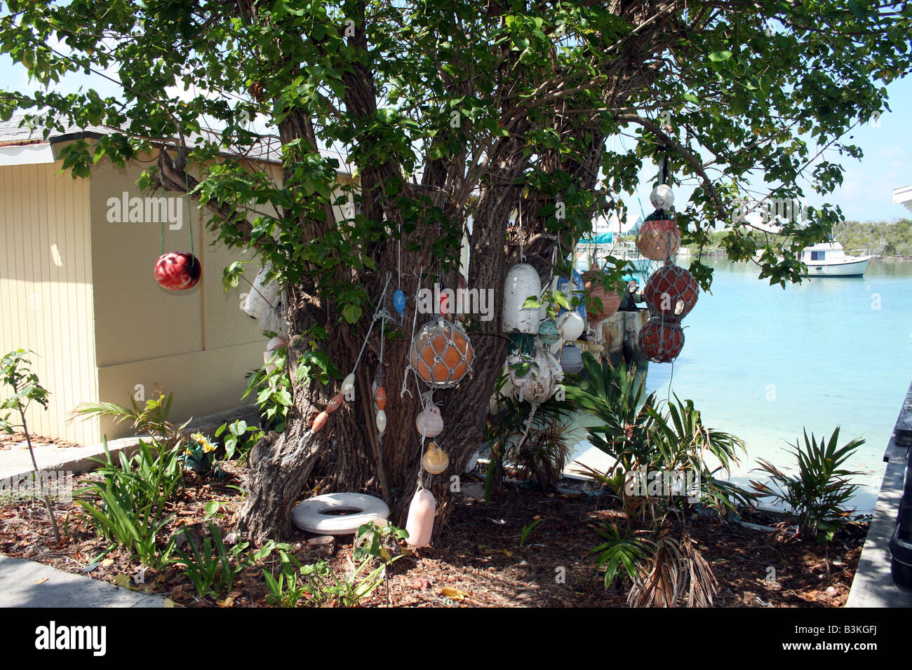 La décoration de l'arbre avec différents types de bouée sur Man-O-War ...