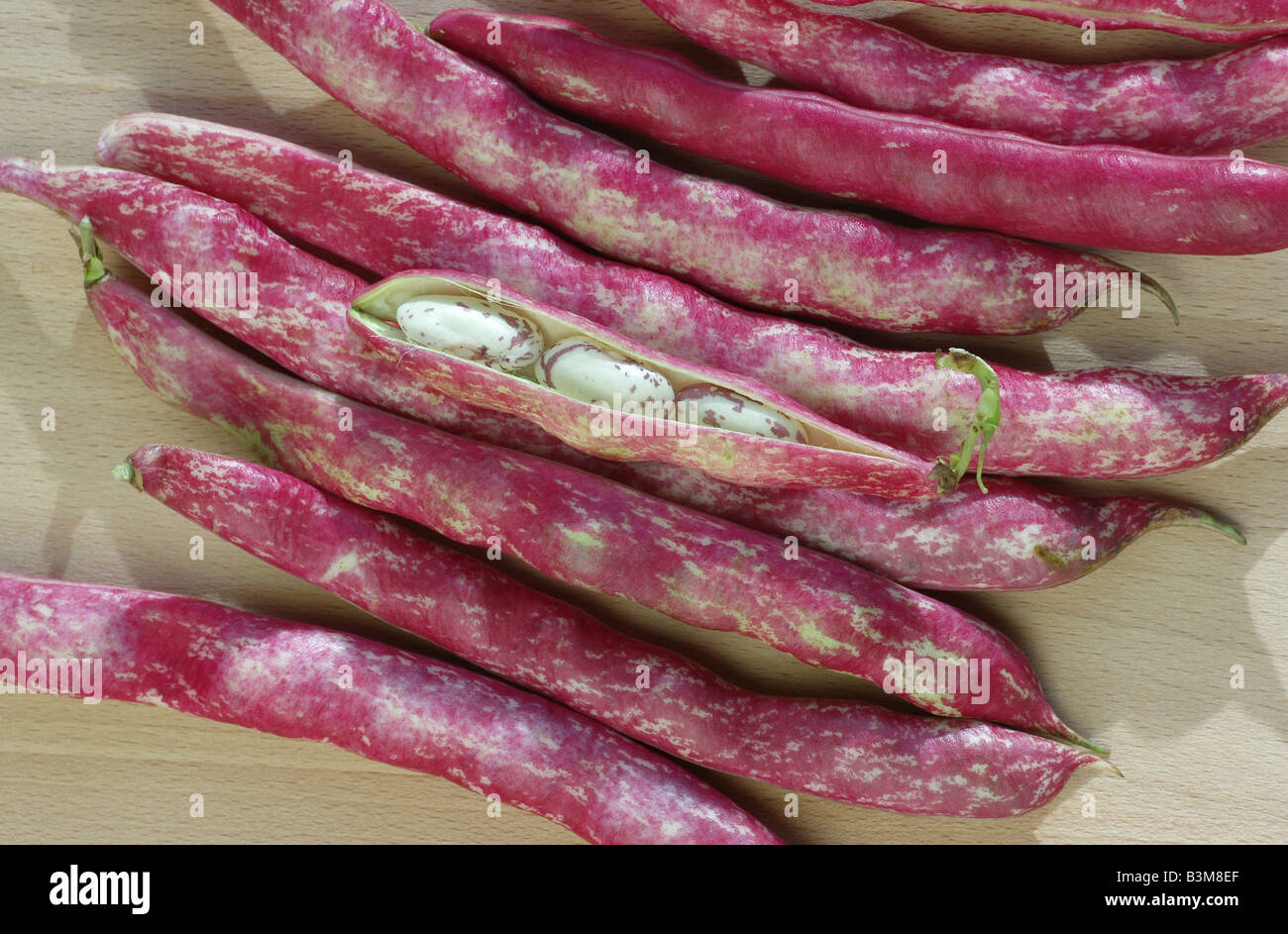 Gousses de haricots borlotti Banque de photographies et d’images à ...