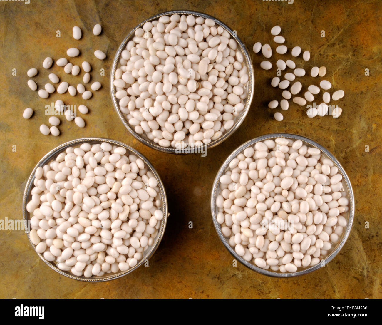 Cocos blanc Banque de photographies et d’images à haute résolution - Alamy