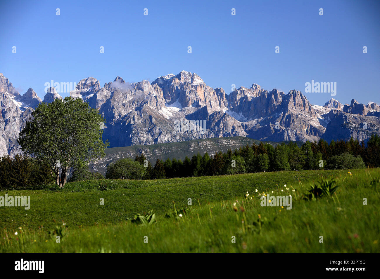 Paysage de Piana delle Viote, Monte Bondone sur Dolomiti di Brenta ...