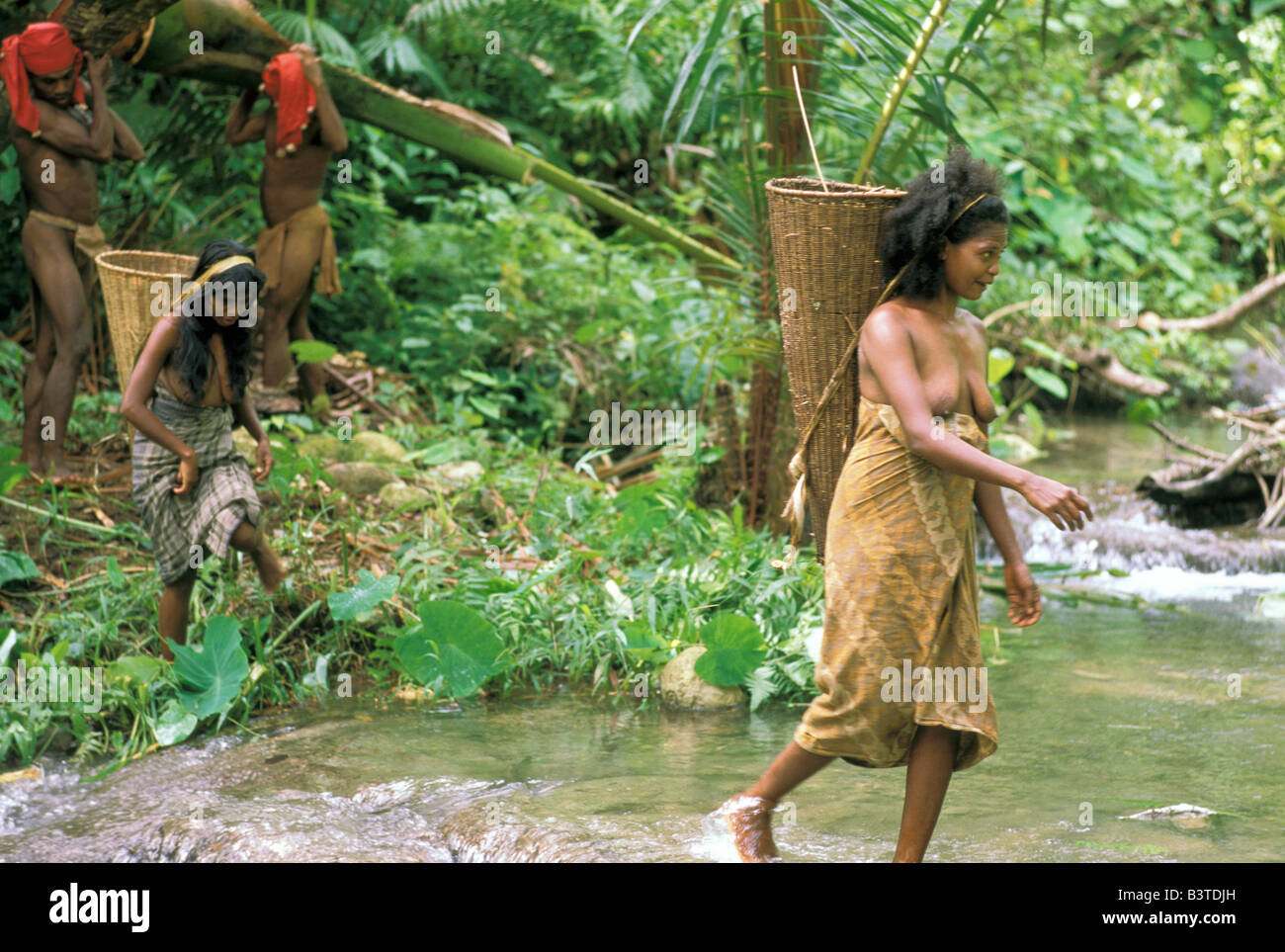 L'Océanie, l'Indonésie, l'île de Ceram, Maluku. Les gens Naulu Photo ...