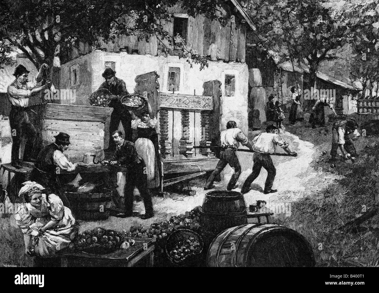 Alcool, vin, production, pressurisation des pommes en Haute-Autriche ...