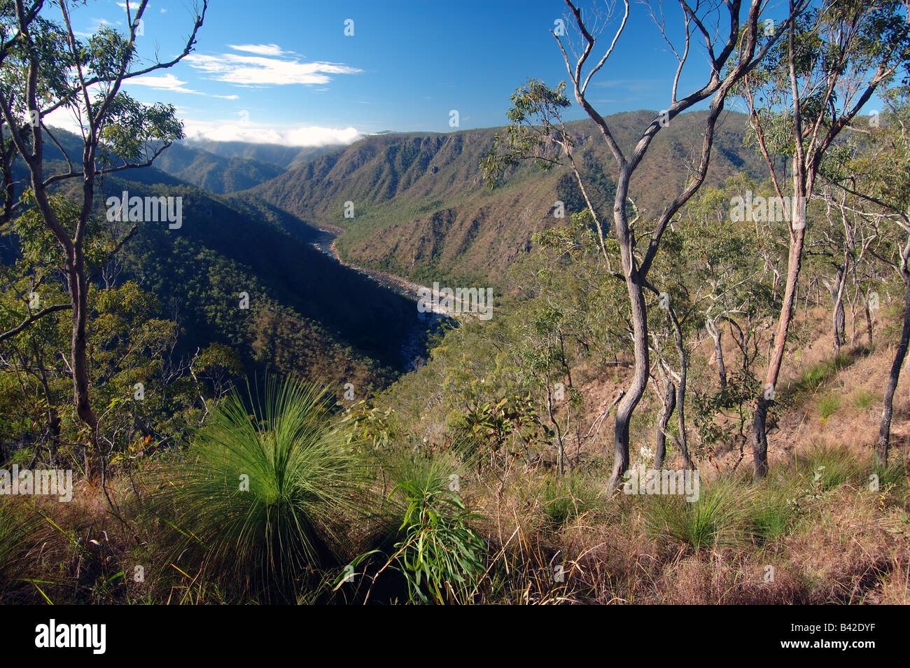 Girringun national park Banque de photographies et d’images à haute ...