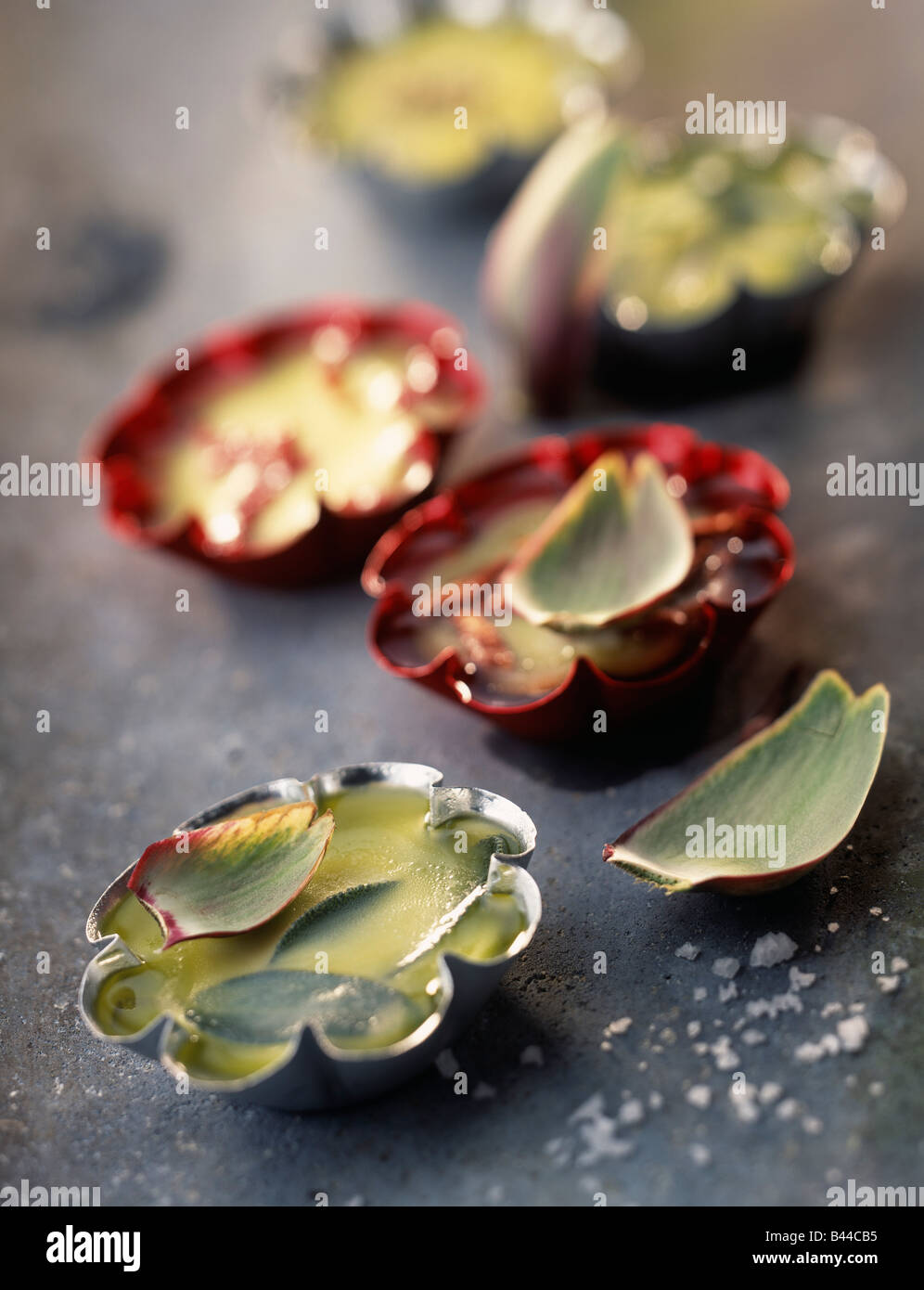 Gris olive Banque de photographies et d’images à haute résolution - Alamy