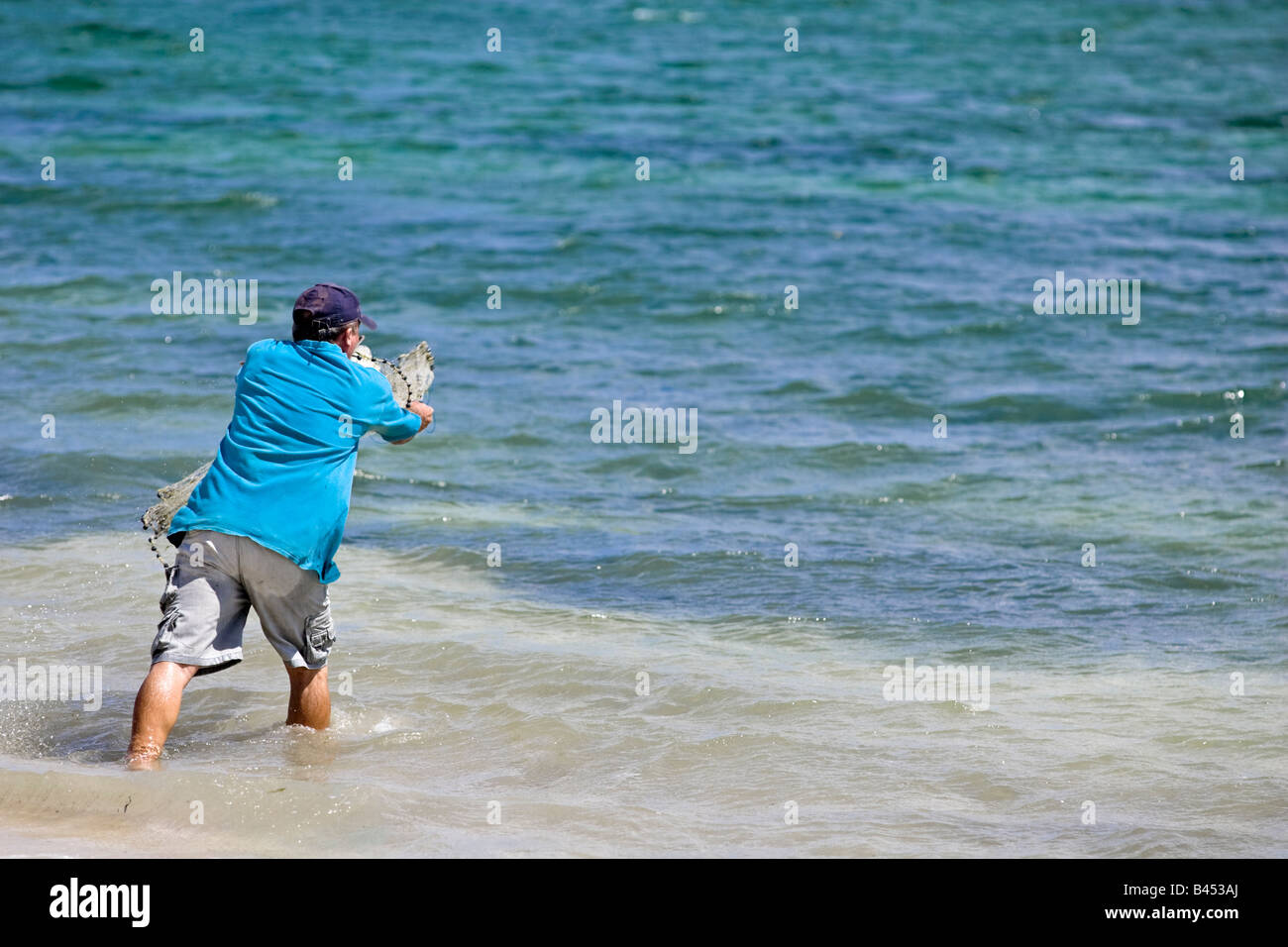 Une place dans la baie des cochons Banque de photographies et d’images ...