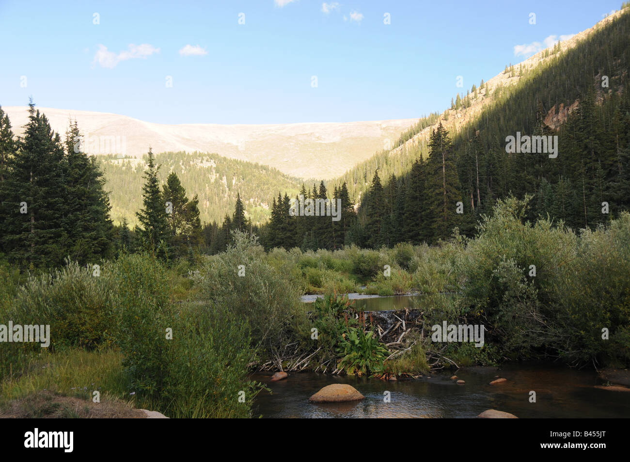 Ruisseau barrage de castor Banque de photographies et d’images à haute ...