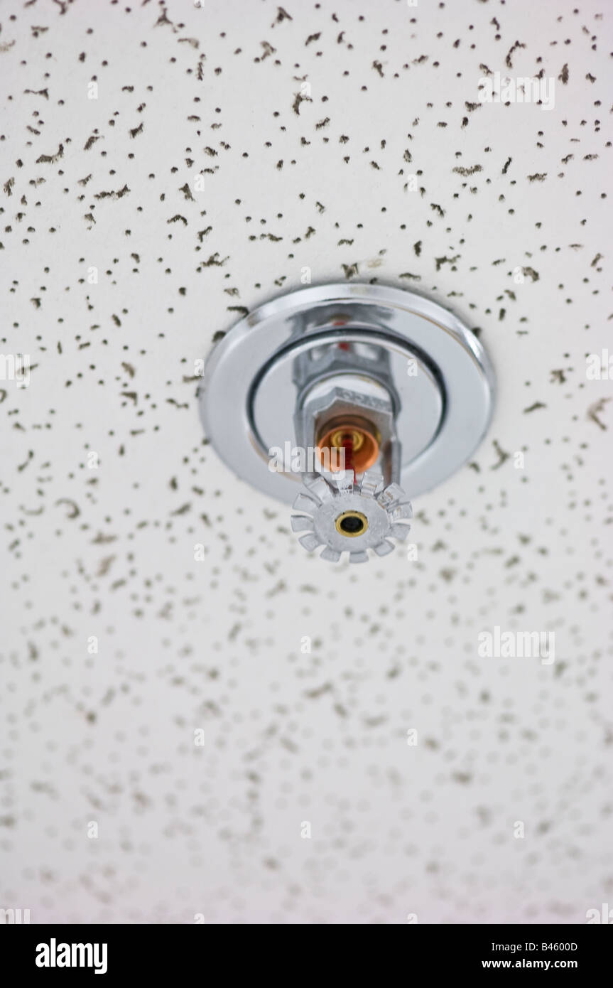 Fire Sprinkler head en faux plafond Photo Stock - Alamy
