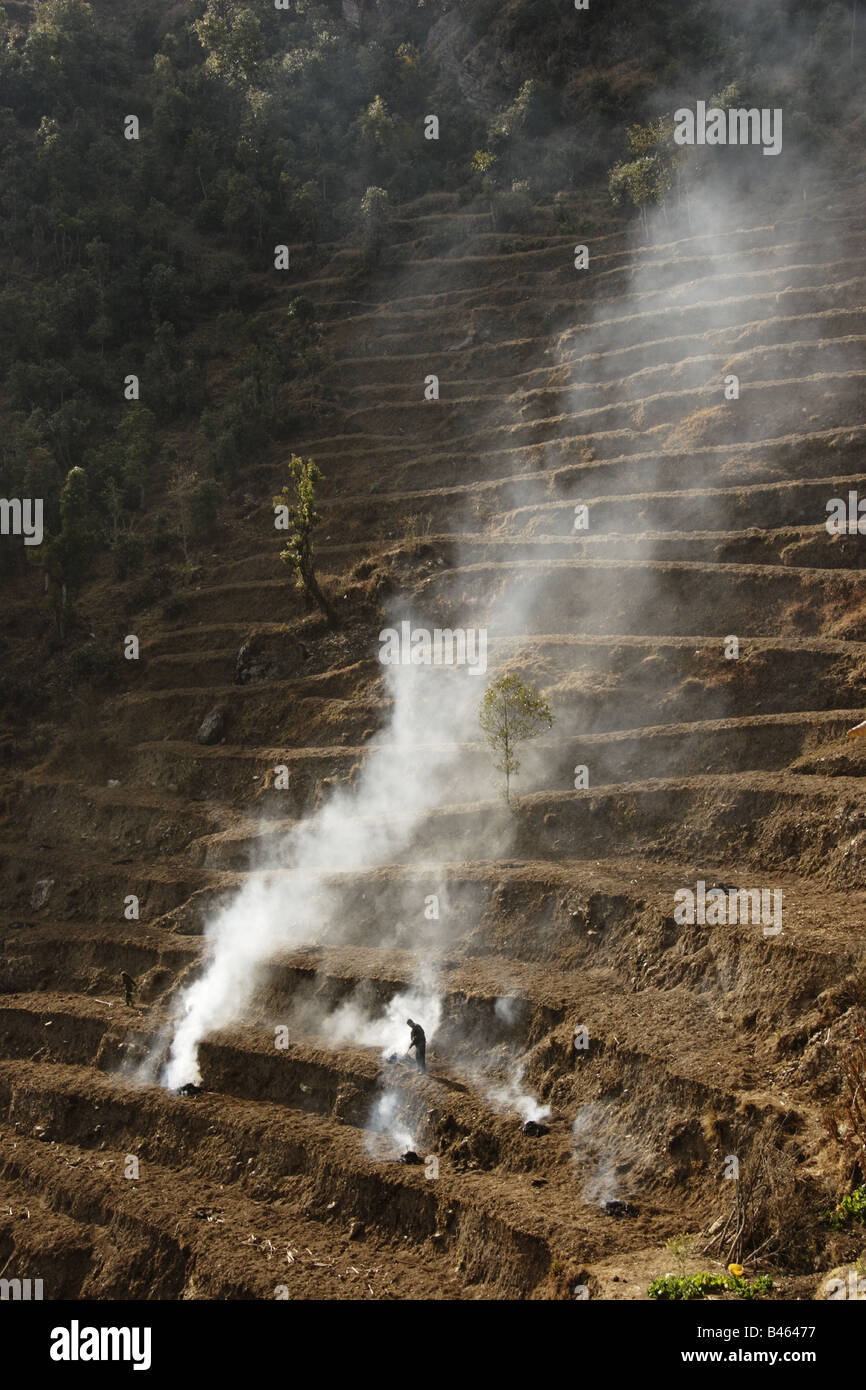 Production alimentaire mondiale Banque de photographies et d’images à ...