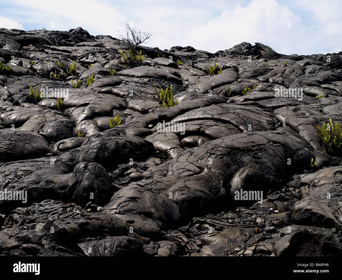 Lave durcie Banque de photographies et d’images à haute résolution - Alamy