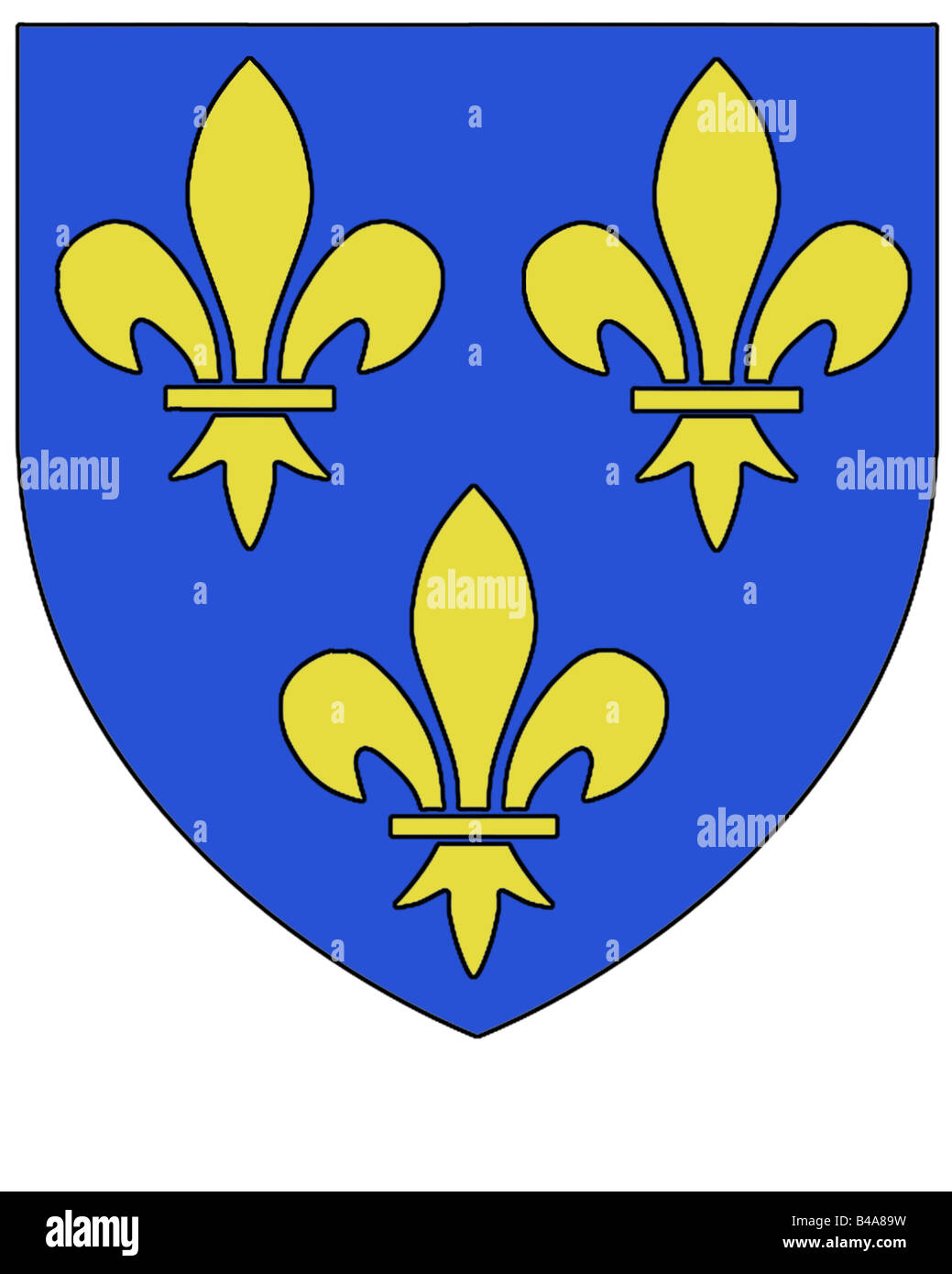 Heraldry, armoiries, écusson du roi de France 1400 - 1789 et 1815 ...
