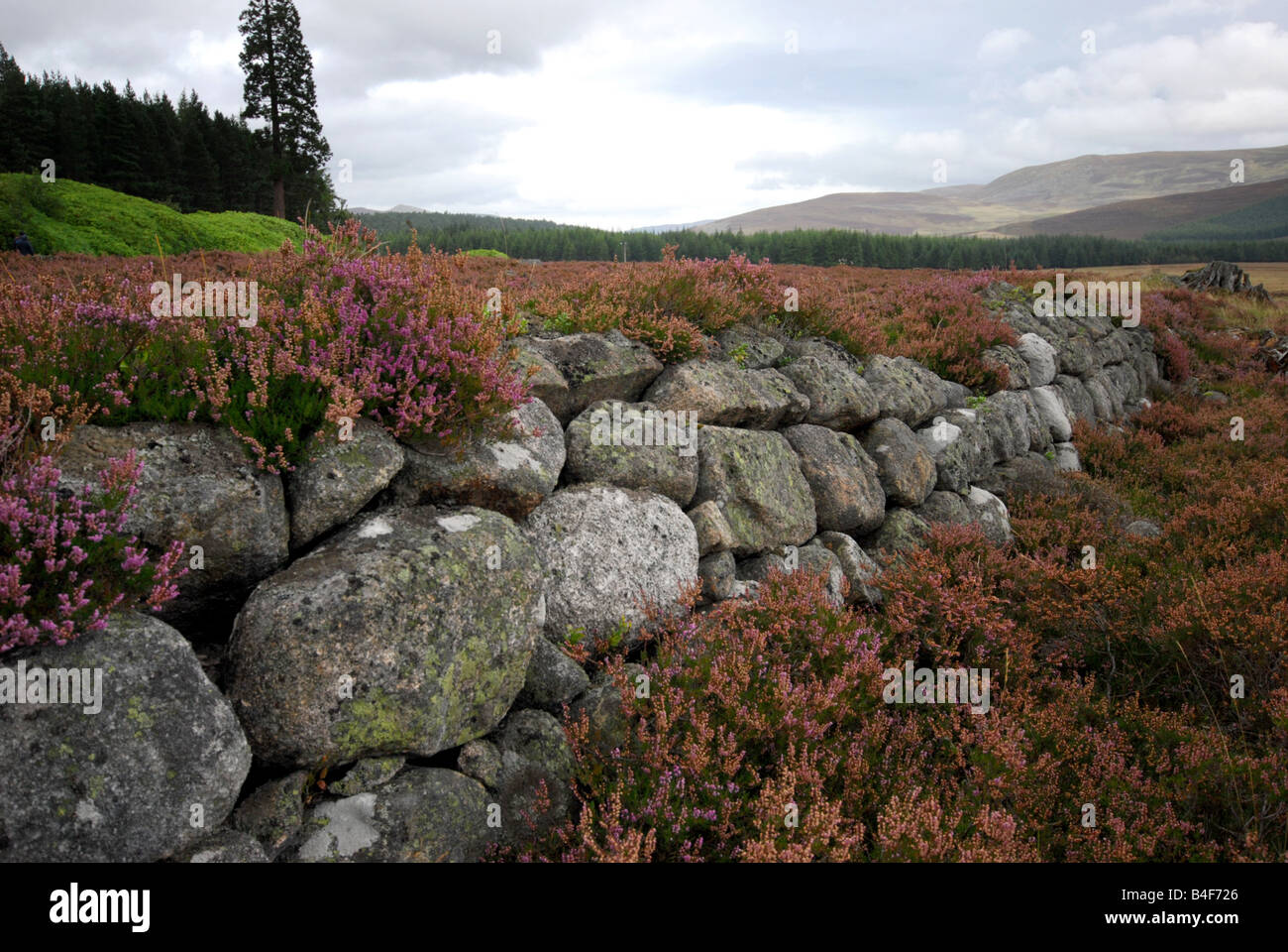 Digue de retenue Banque de photographies et d’images à haute résolution ...