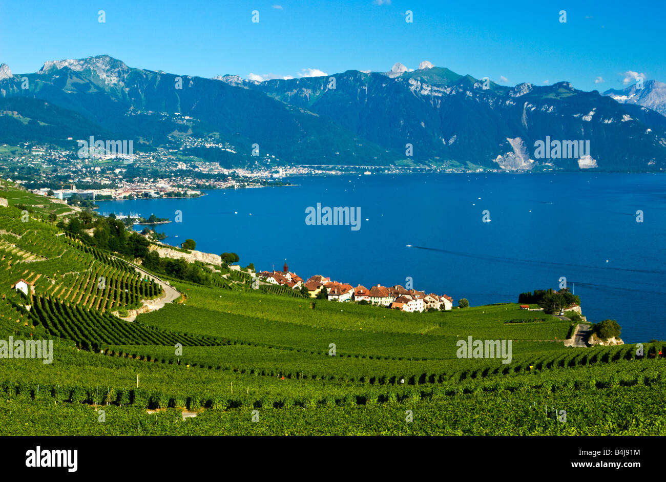 Rivaz suisse Banque de photographies et d’images à haute résolution - Alamy