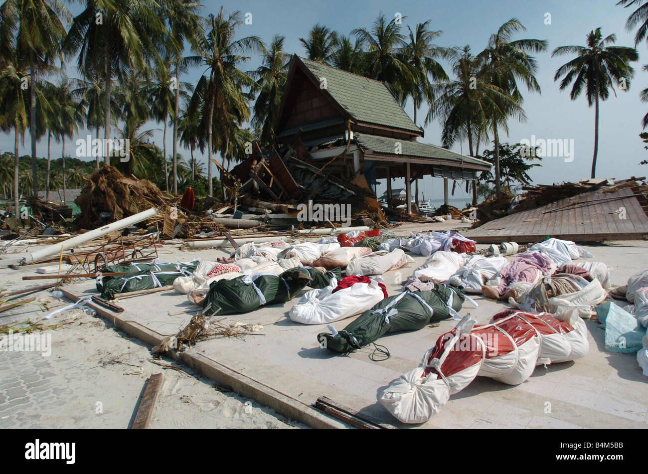 Tsunami Décembre 2004 île de Phi Phi, Thaïlande Sacs sur la plage ...