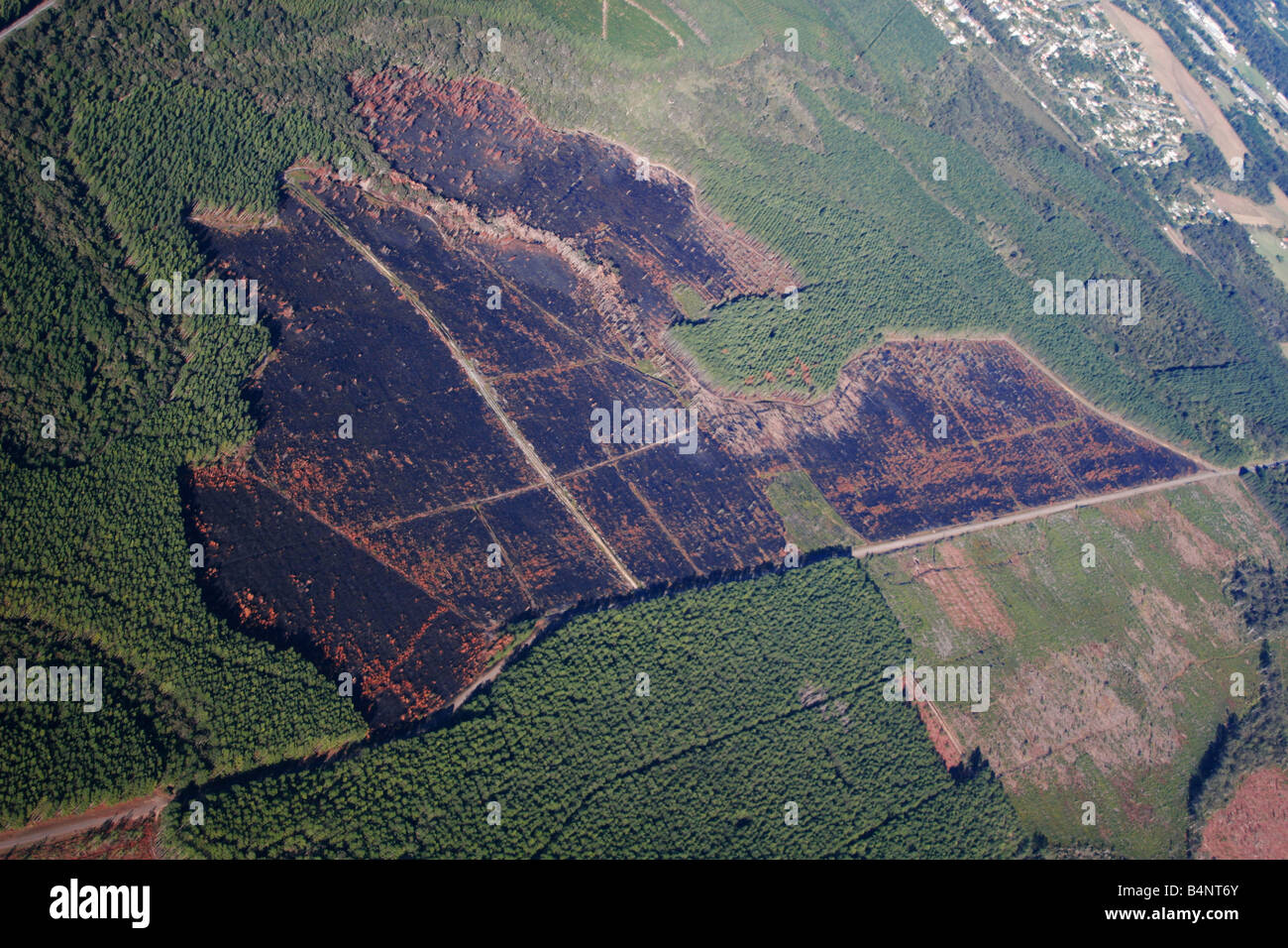 Feu foret aérien Banque de photographies et d’images à haute résolution ...