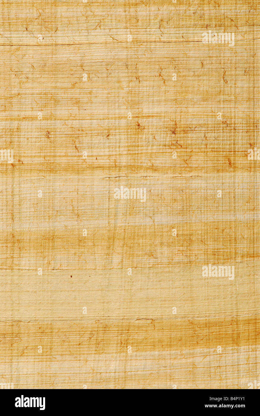 Papyrus surface Banque de photographies et d’images à haute résolution ...