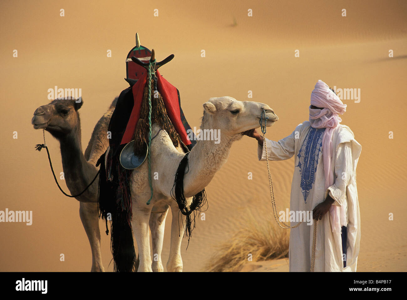 Algeria djanet man tuareg tribe Banque de photographies et d’images à ...