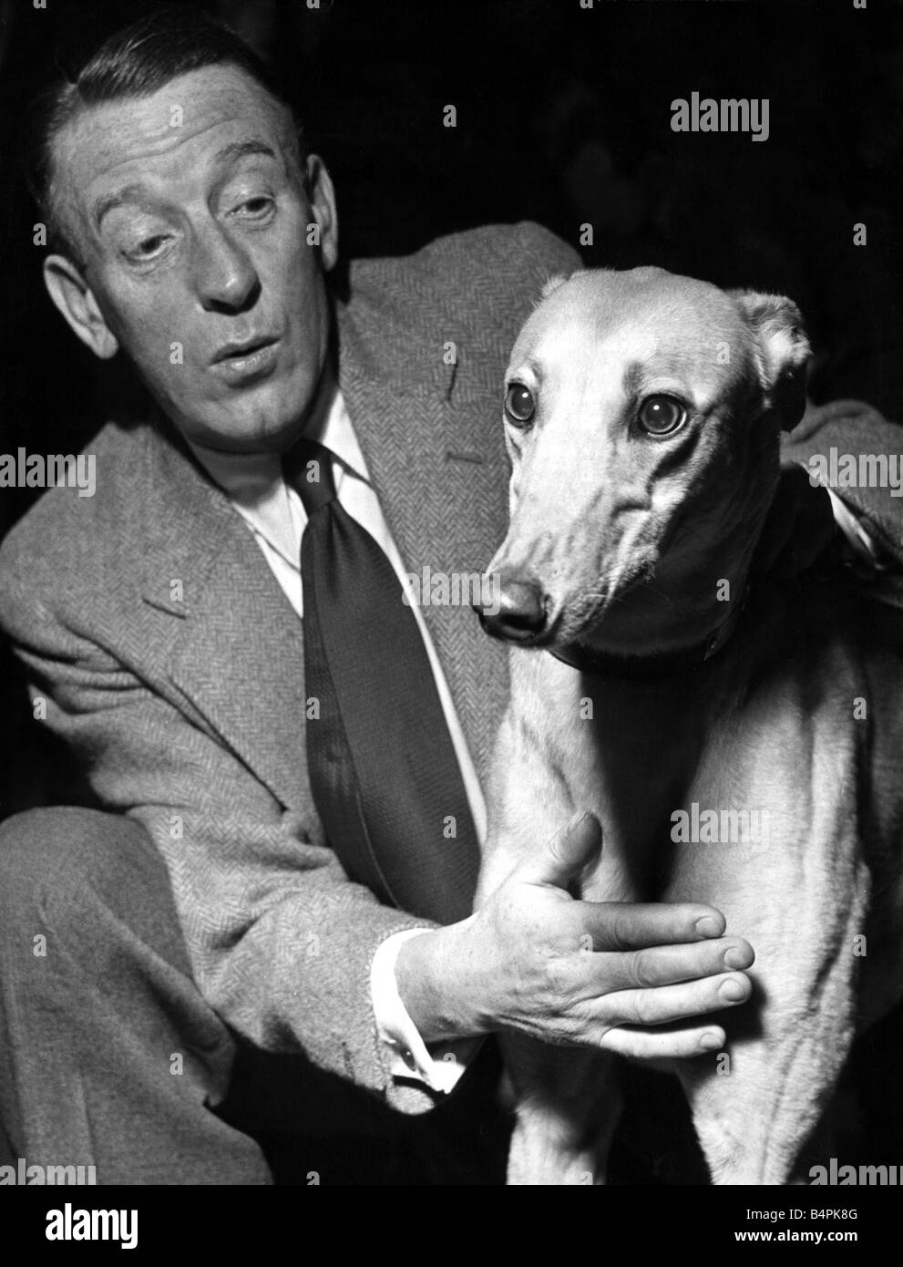 Gay dogs Banque de photographies et d’images à haute résolution - Alamy