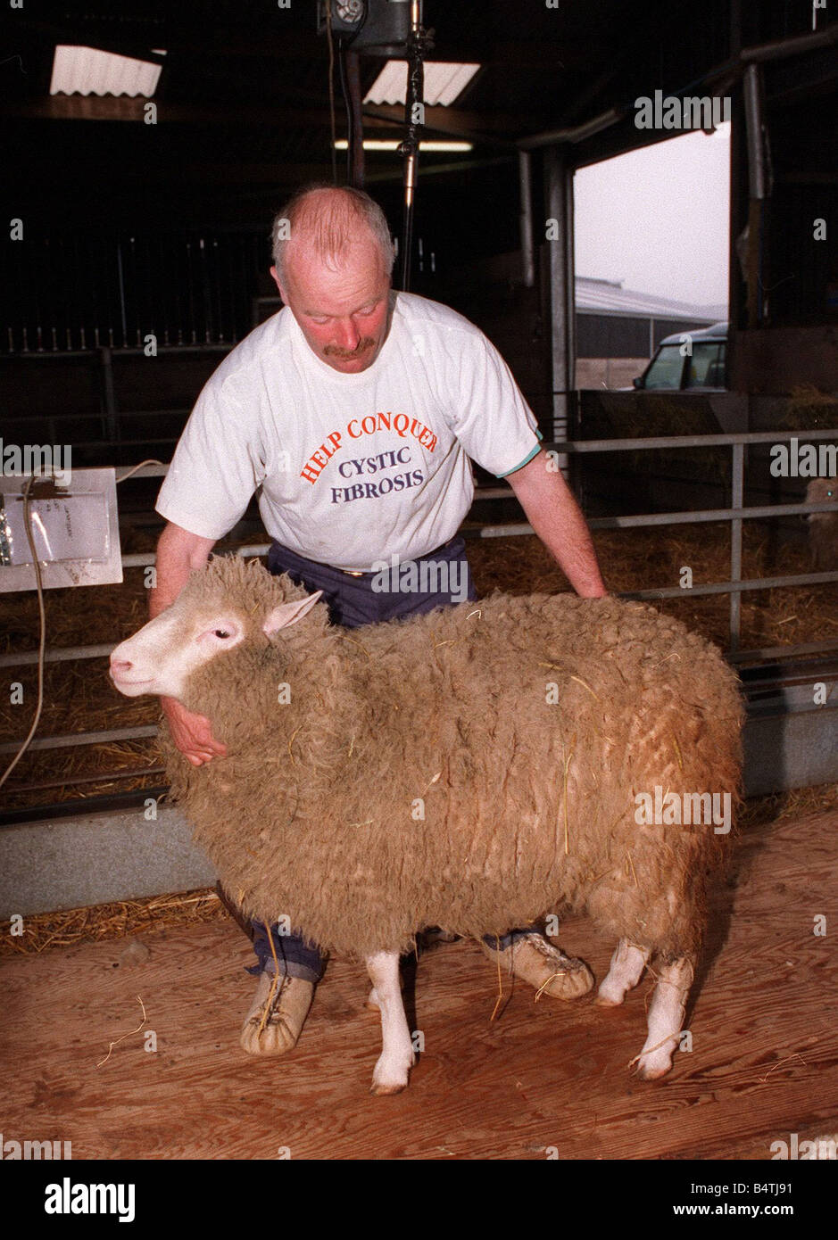 Dolly the sheep clone Banque de photographies et d’images à haute ...