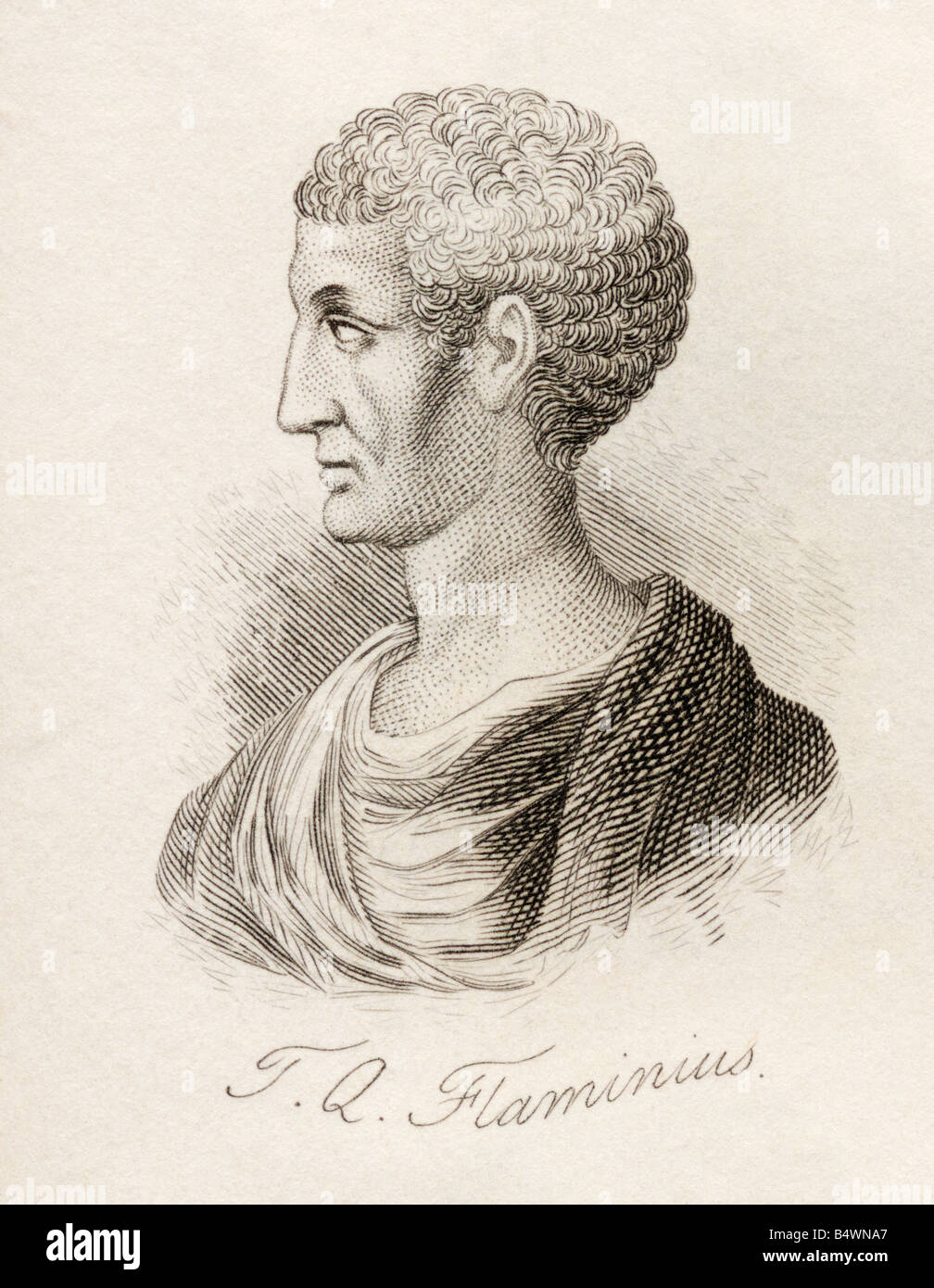 Titus flamininus Banque de photographies et d’images à haute résolution ...