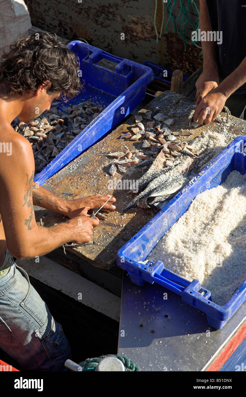 La préparation du poisson-appât salé aux pêcheurs pour la pêche à la ...