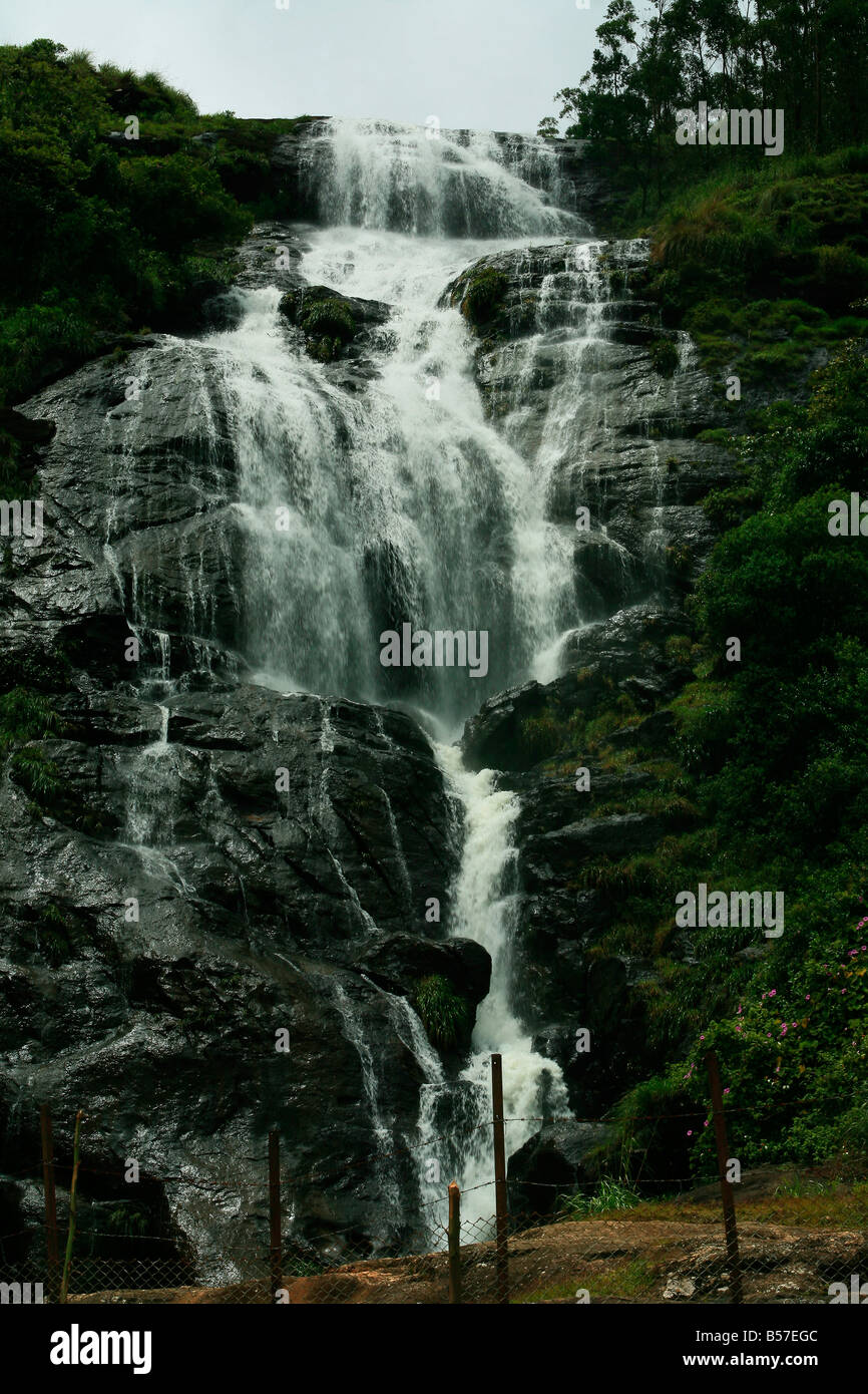 Munnar kerala inde Banque de photographies et d’images à haute ...