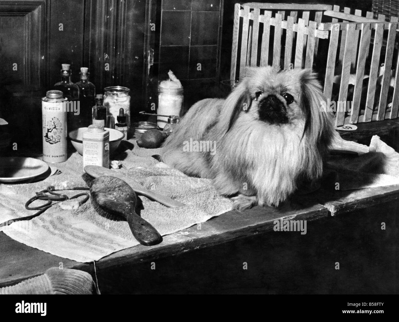 Gilbert virginie Banque de photographies et d’images à haute résolution ...