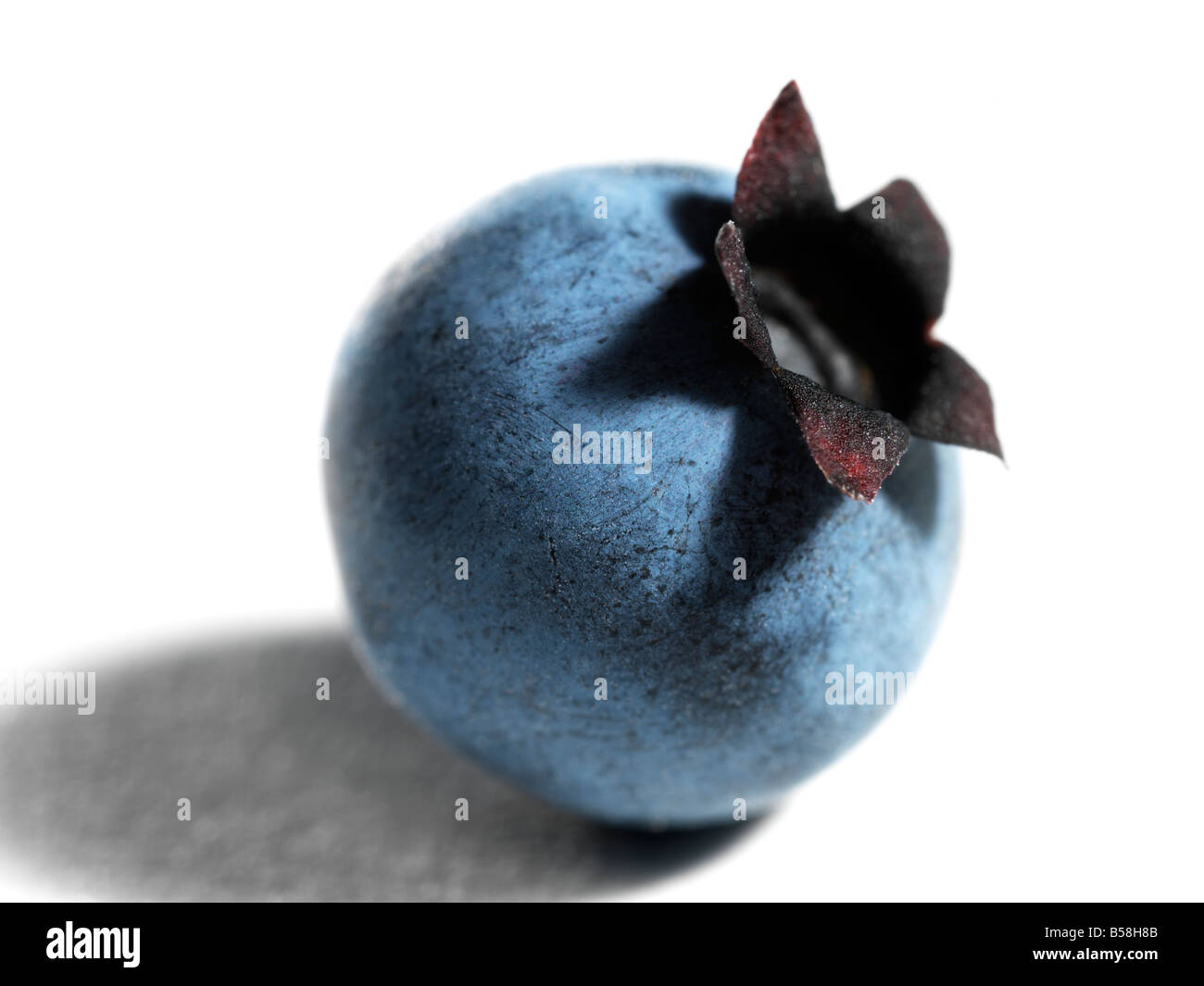 Une myrtille Banque de photographies et d’images à haute résolution - Alamy