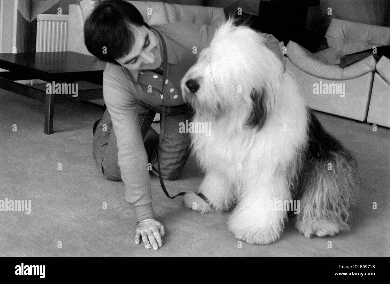 Salon des chiens Banque d'images noir et blanc - Alamy