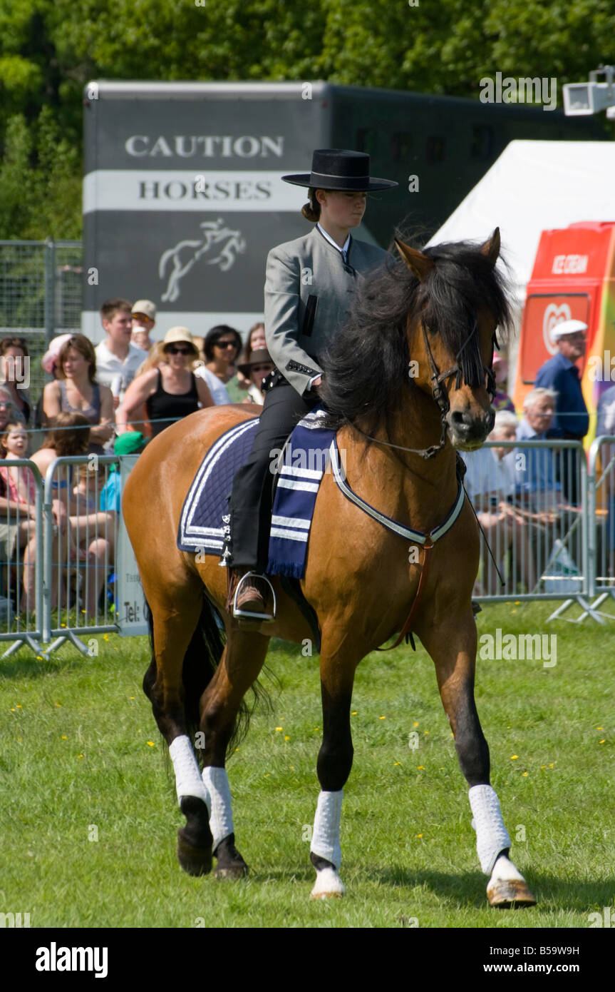 Étalon andalou avec une femelle Rider en costume traditionnel Rallye ...