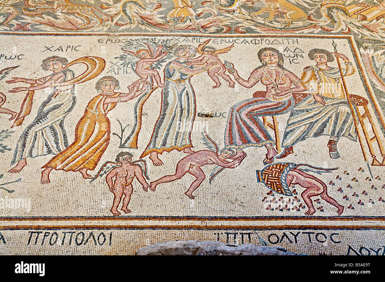 Mosaïque, Église de la Vierge, Madaba, Jordanie, Moyen-Orient Photo ...