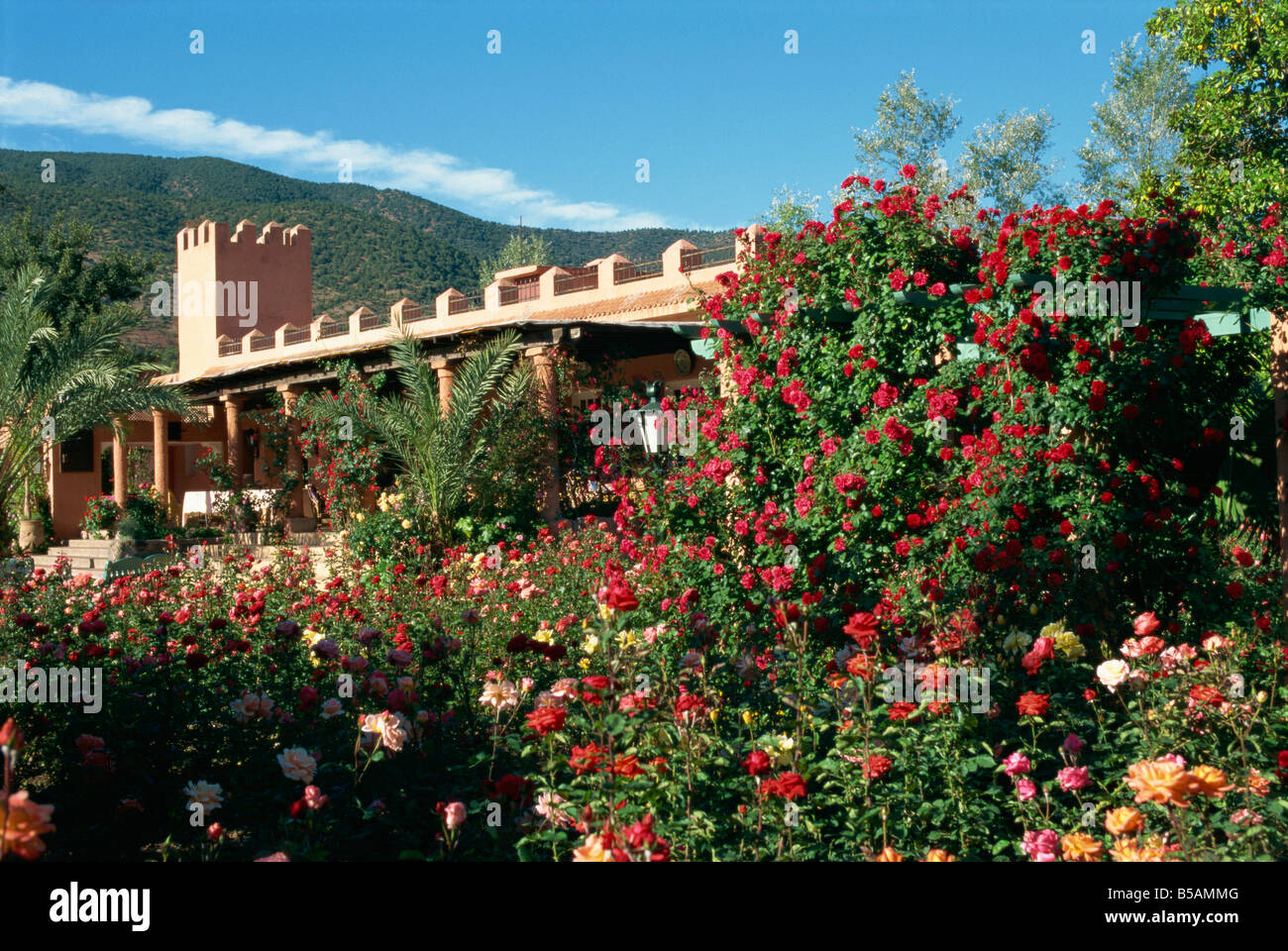 Rose gardens Banque de photographies et d’images à haute résolution - Alamy