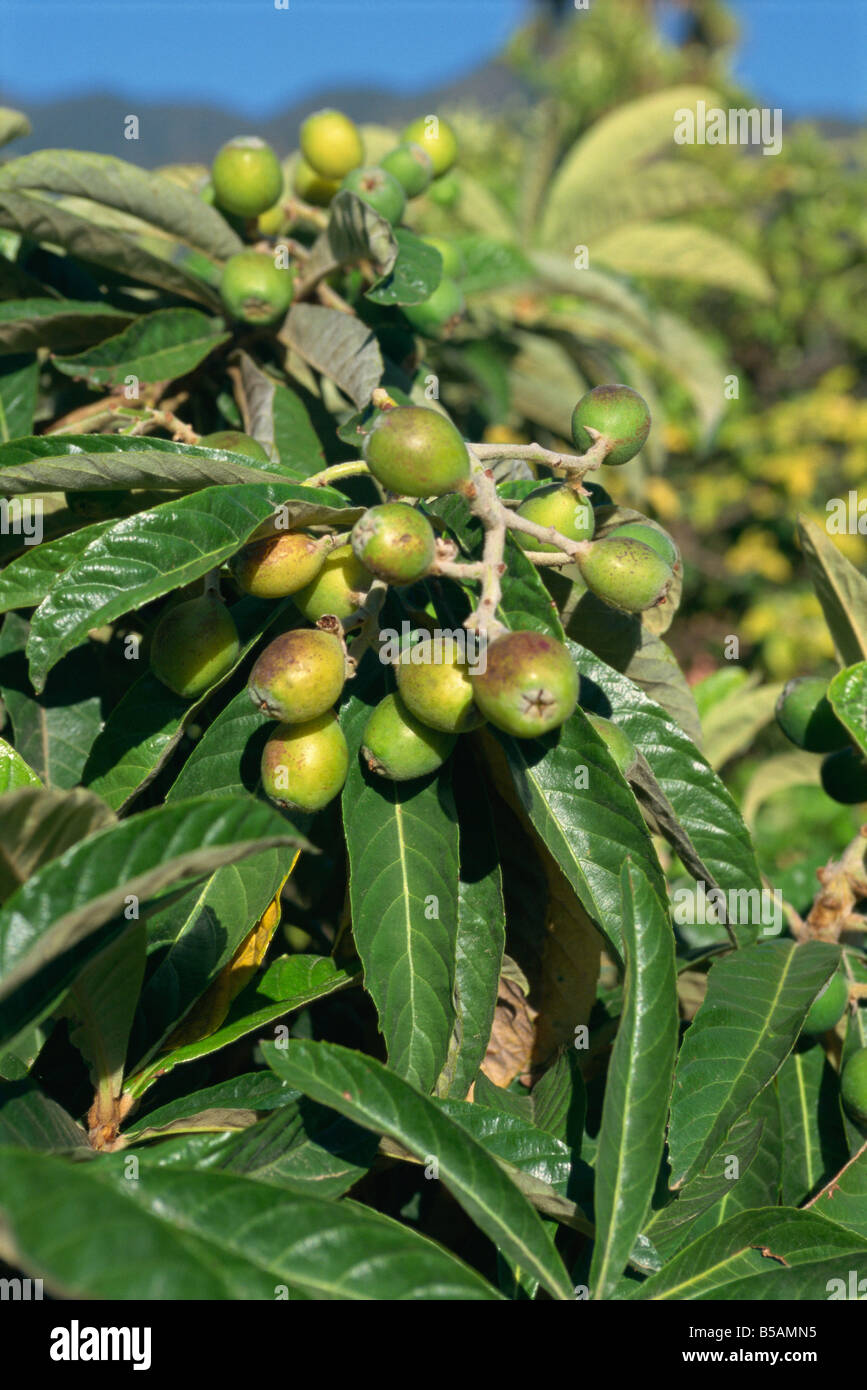 Sur le maroc Banque de photographies et d’images à haute résolution - Alamy