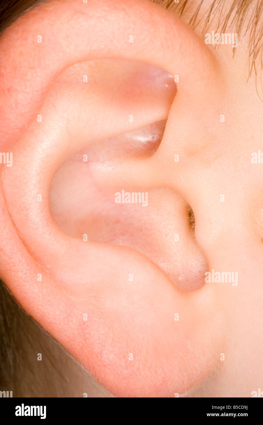 Une oreille Banque de photographies et d’images à haute résolution - Alamy