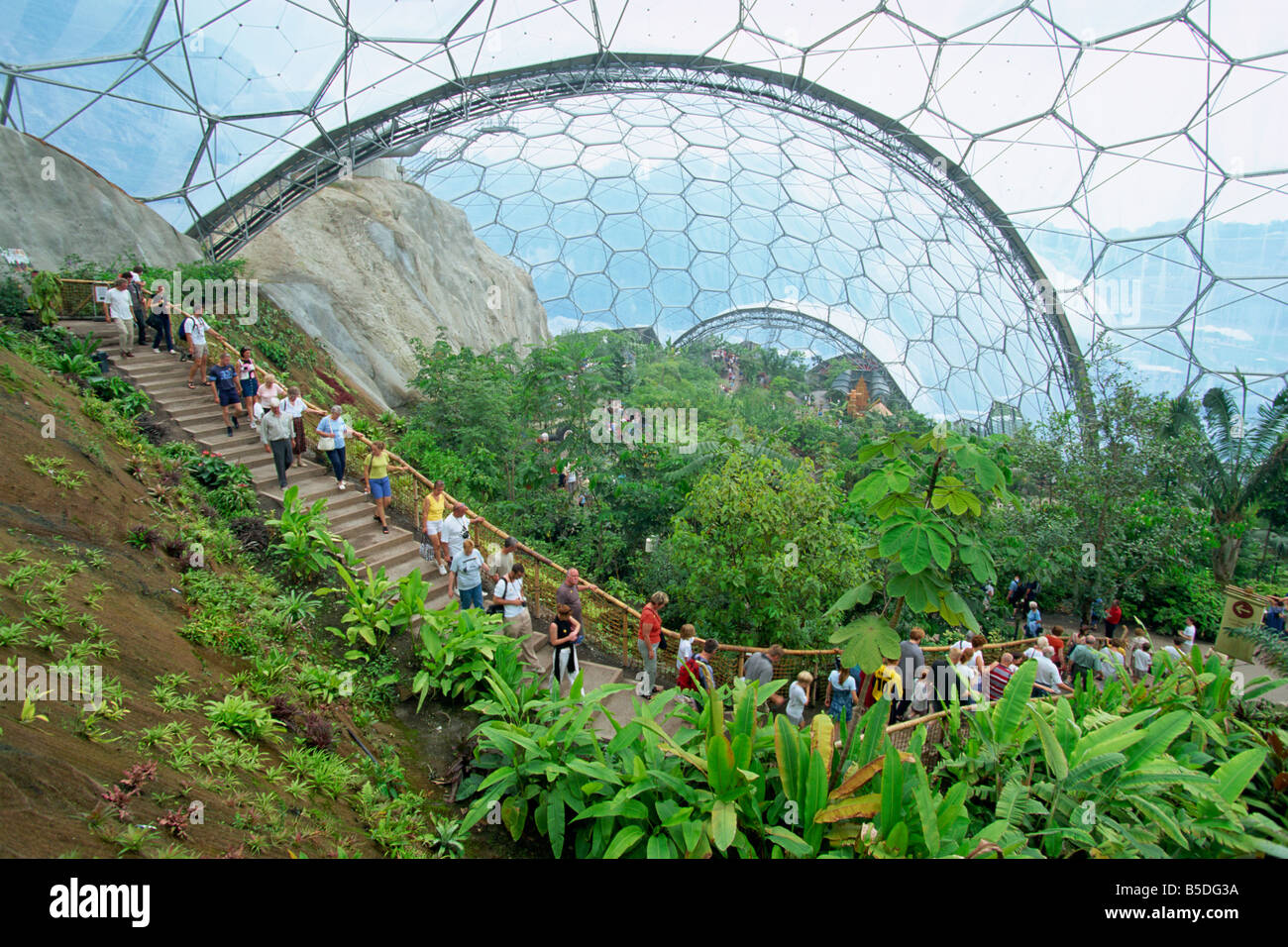 Eden projet biome tropicales interieures interieur Banque de ...