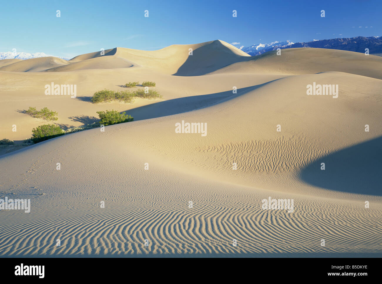 Vallée de la mort Banque de photographies et d’images à haute ...