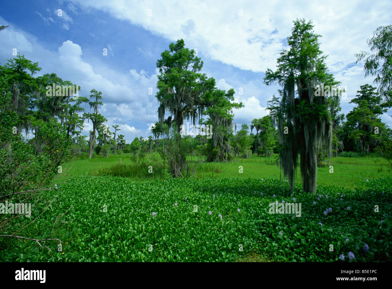 Jean lafitte national historique Banque d'image et photos - Alamy