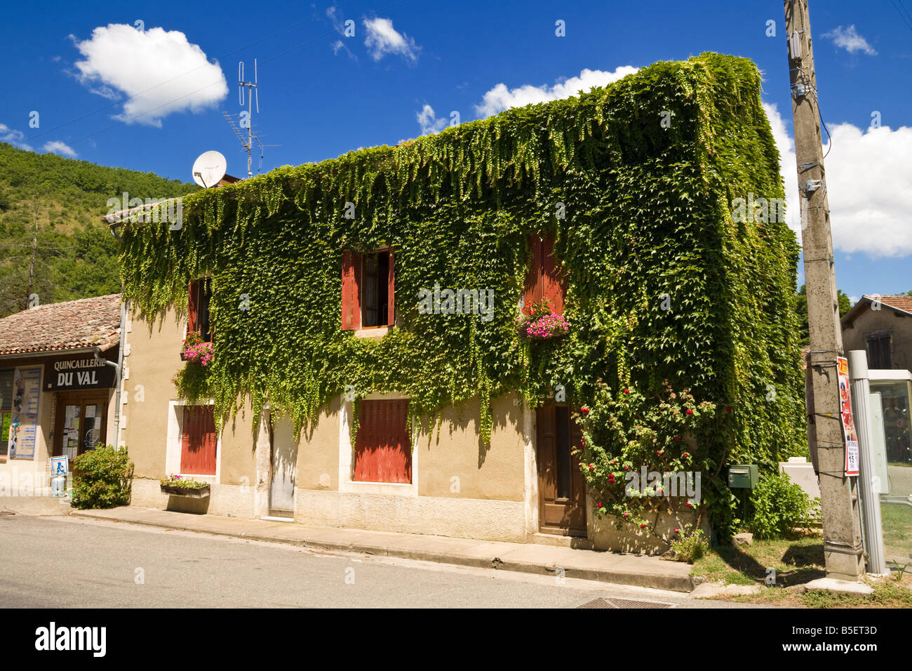Maison de couverture de lierre Banque de photographies et d’images à ...