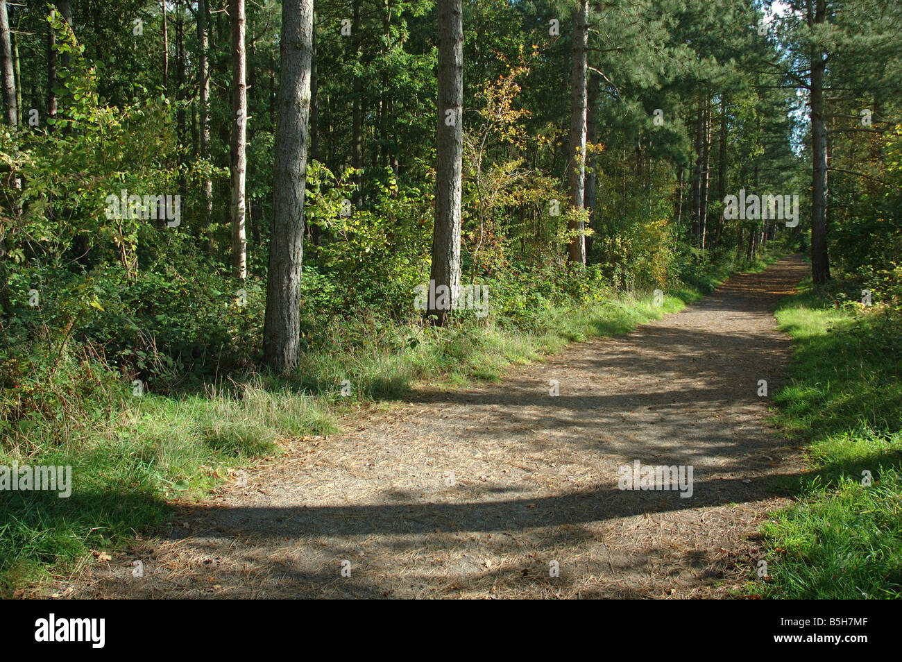 Bataille de bosworth trail Banque de photographies et d’images à haute ...