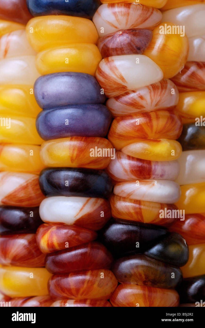 Colores colores colores colores colores colores colores colores Banque ...