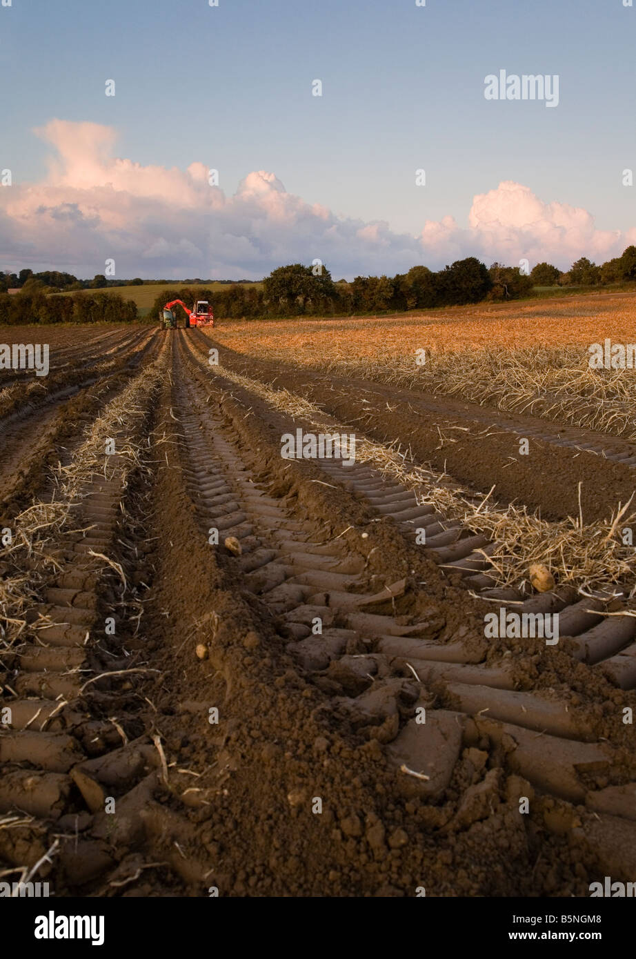Moissonneuse automotrice Banque de photographies et d’images à haute ...