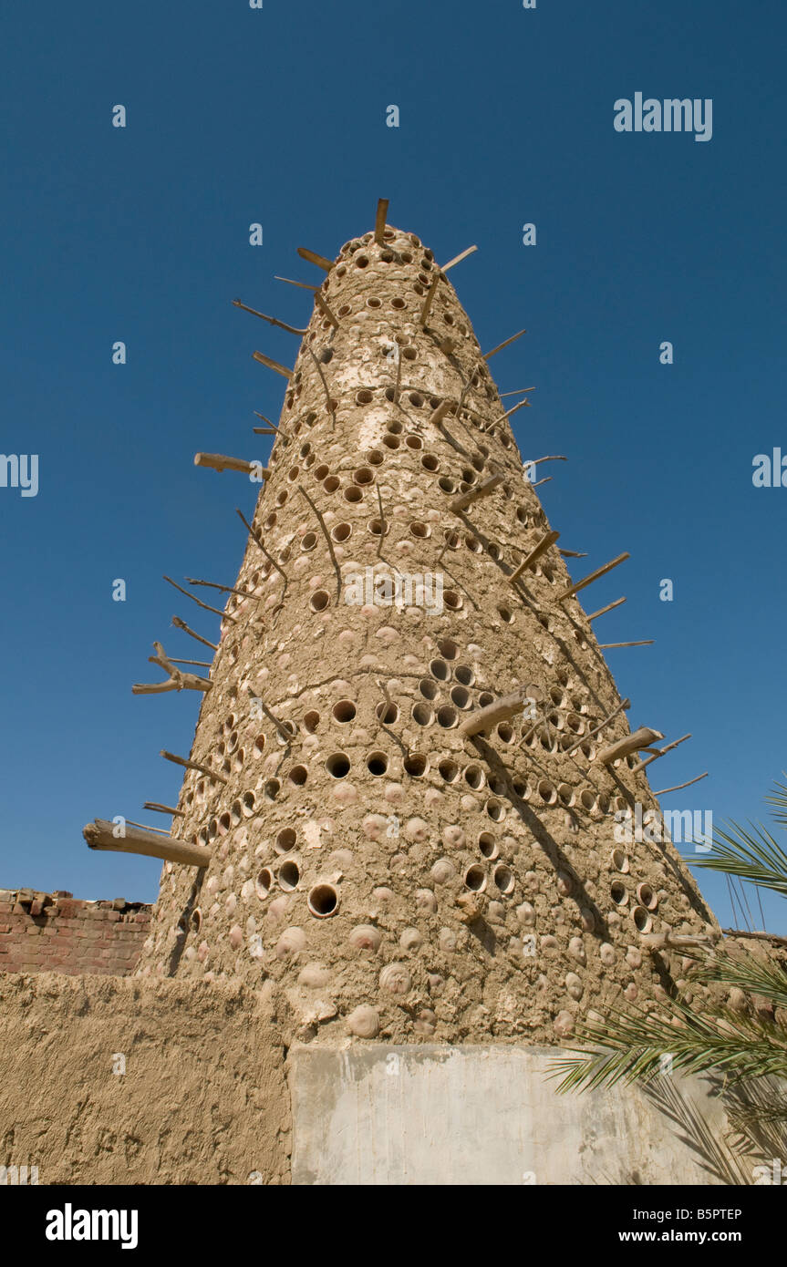 Pigeon house egypt ghamr Banque de photographies et d’images à haute résolution - Alamy